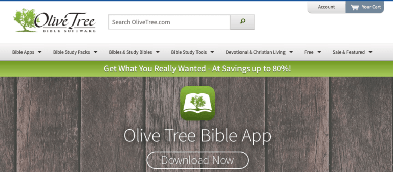 Explore the 9 Best Bible Study Software Options - REACHRIGHT