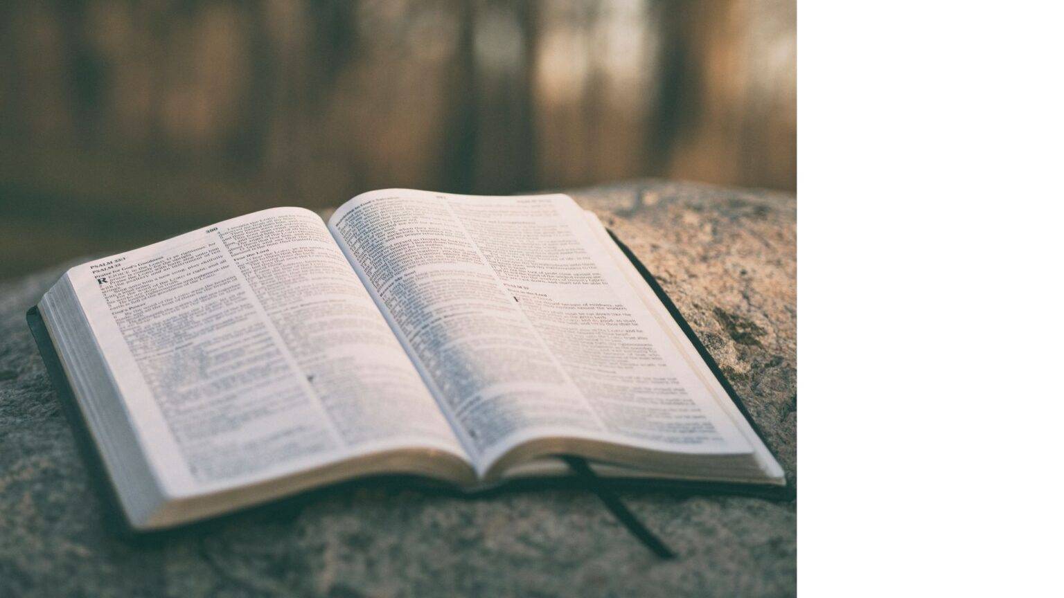 25 Bible Verses About Baptism - REACHRIGHT