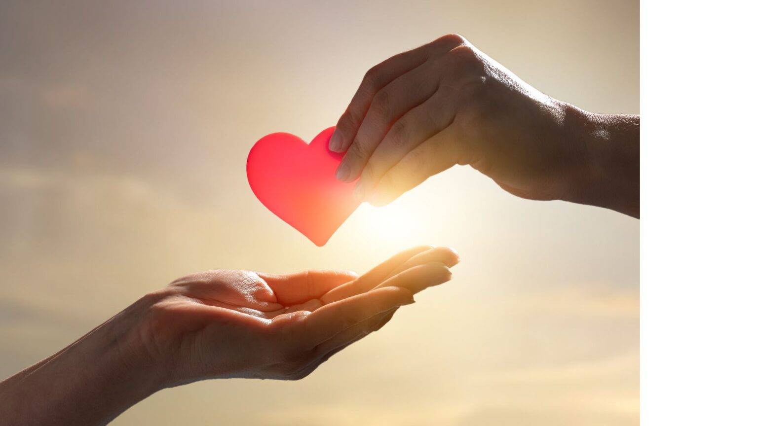 The 7 Best Online Giving Companies For Churches